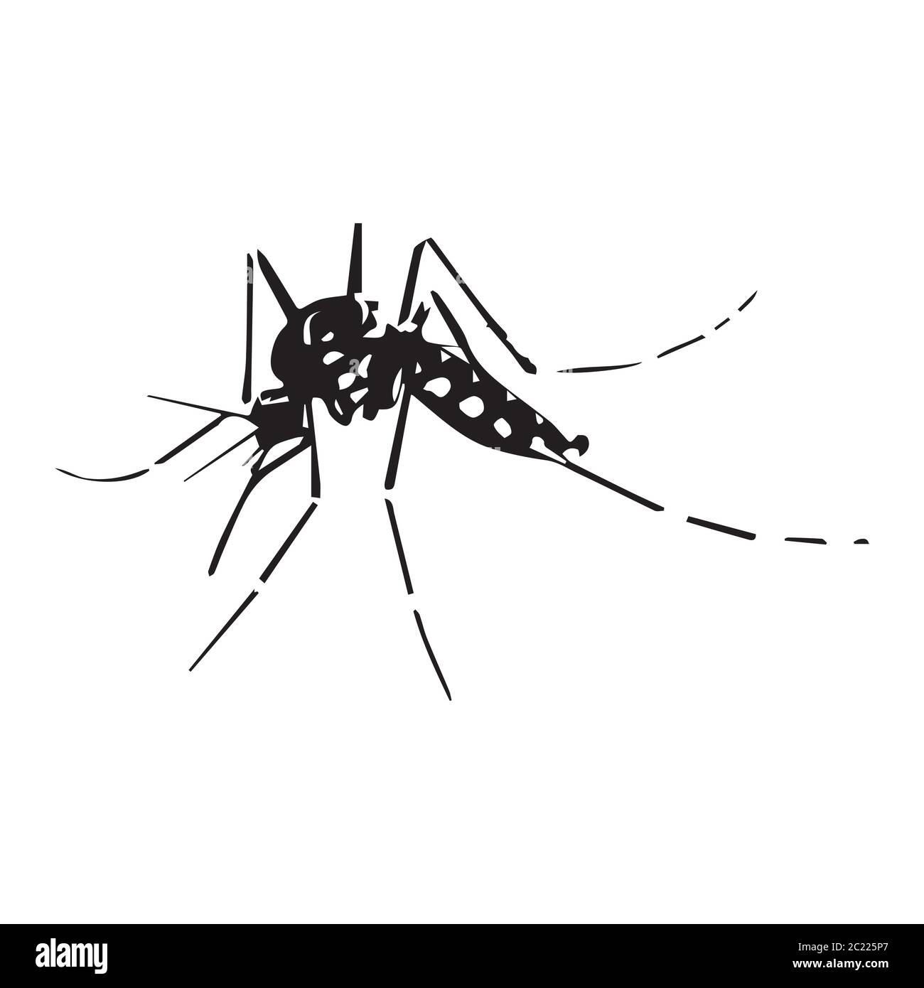 Mosquito silhouettes isolated on white background, vector illustration ...