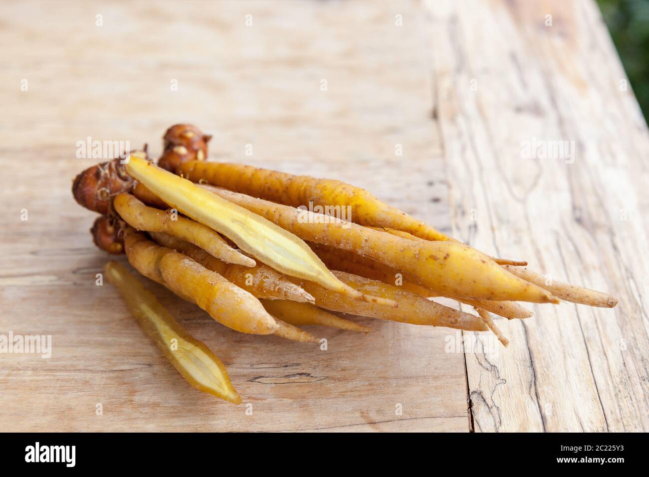 Fingerroot hi-res stock photography and images - Alamy