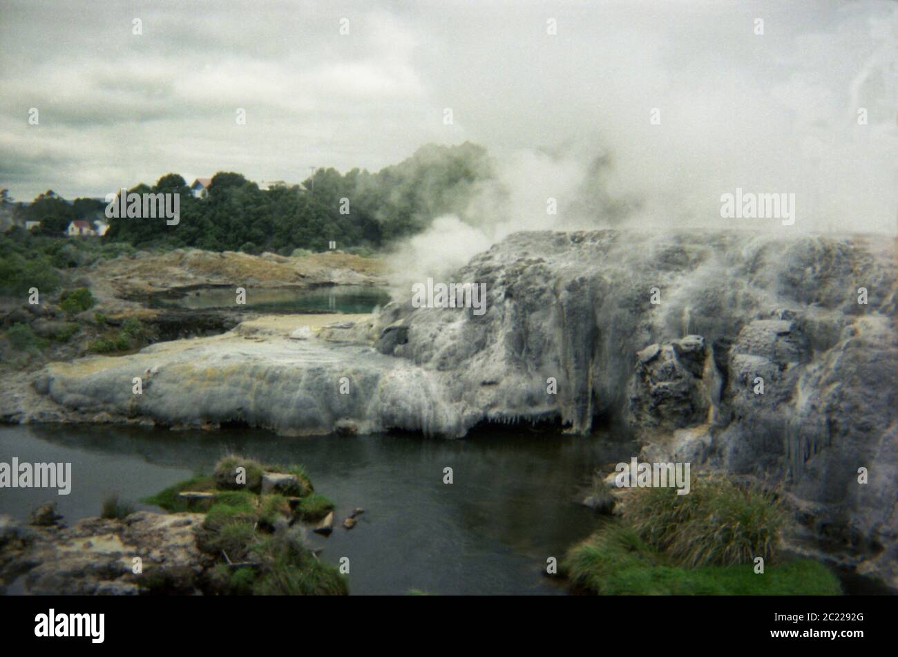 Rotorua Geothermal mud bathsRotorua,New Zealand,Mud Pools,Rotorua ...