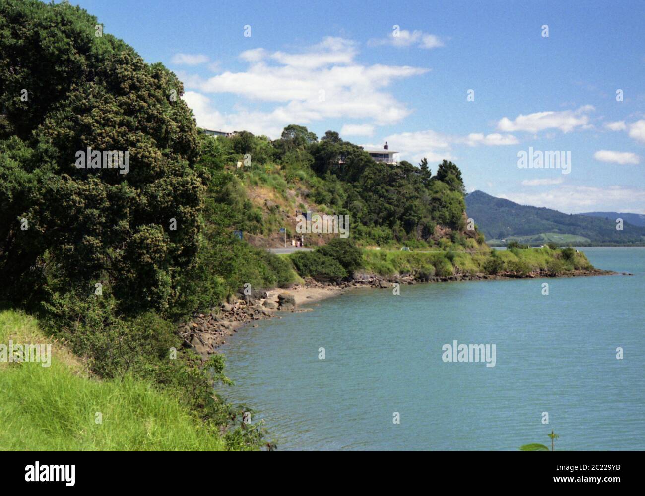 Whangaroa Bay Landscape,Whangaroa Bay green sea,Whangaroa Bay,Whangaroa ...