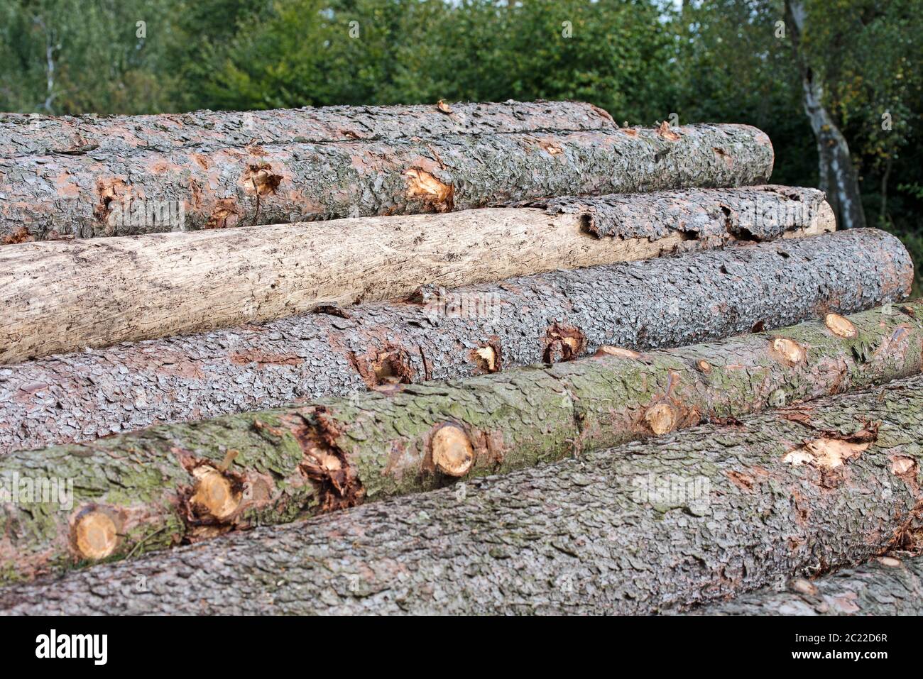 Deforestation forest edge hi-res stock photography and images - Alamy