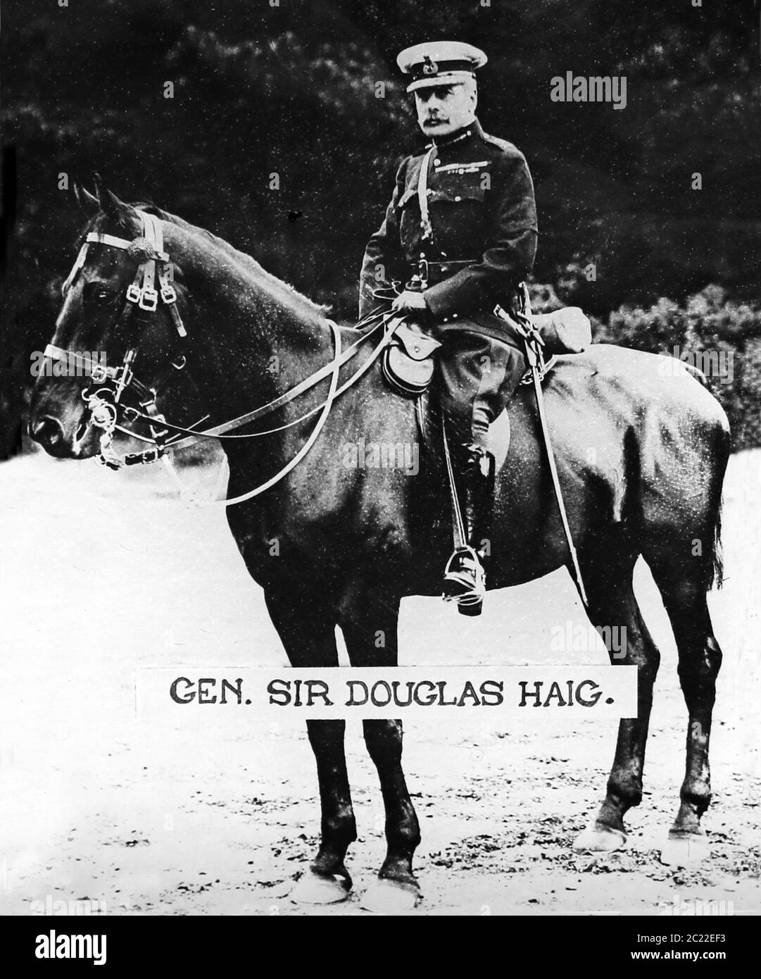 Haig hi-res stock photography and images - Alamy