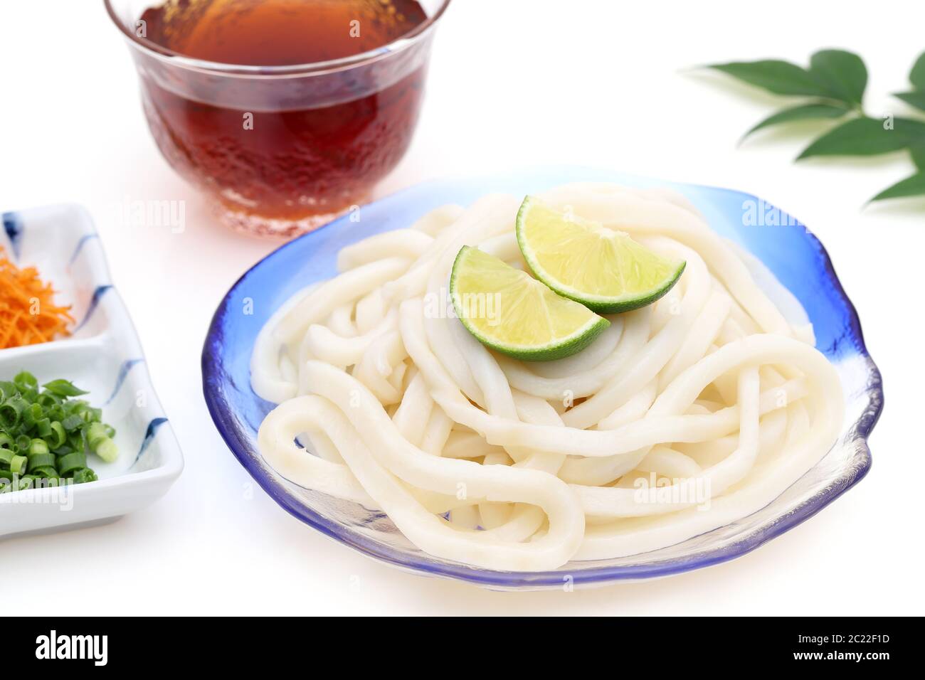 Japanese chilled udon noodles in a glass plate with soy sauce on white ...