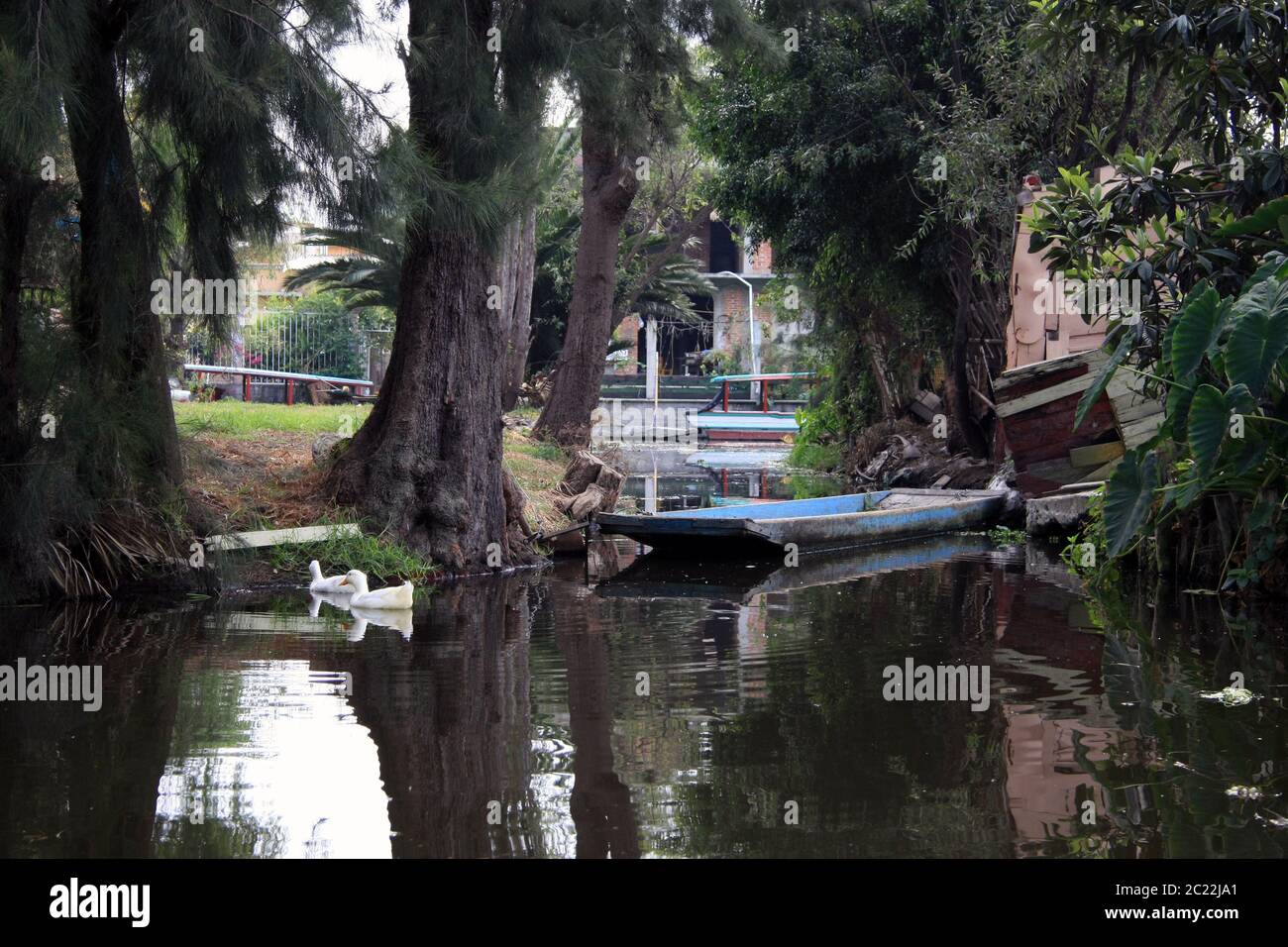 The island of the dolls (La Isla de las Muñecas) little islands in Lake ...