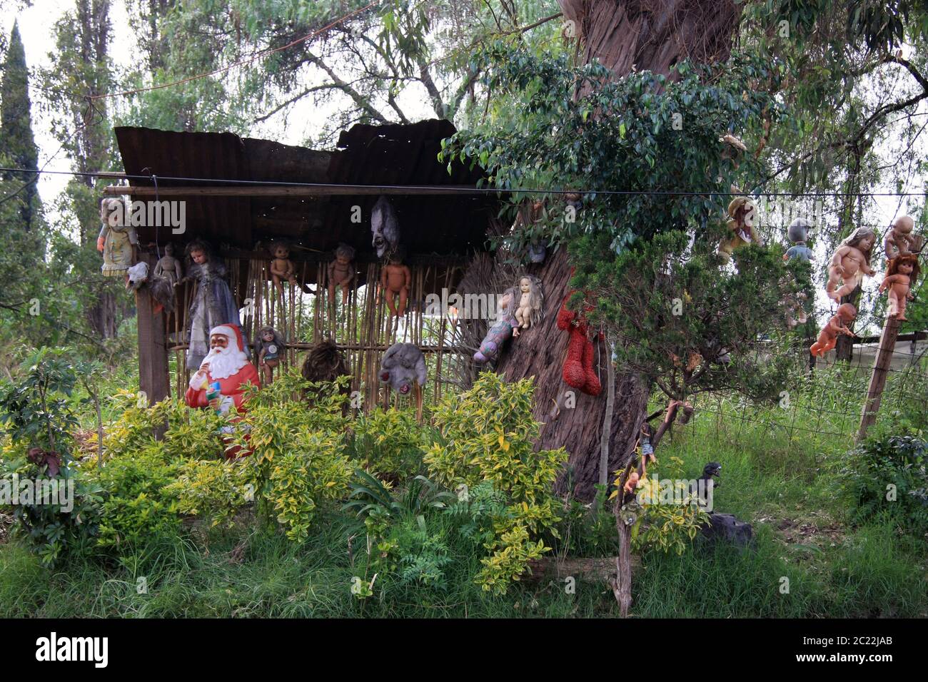 The island of the dolls (La Isla de las Muñecas) little islands in Lake ...