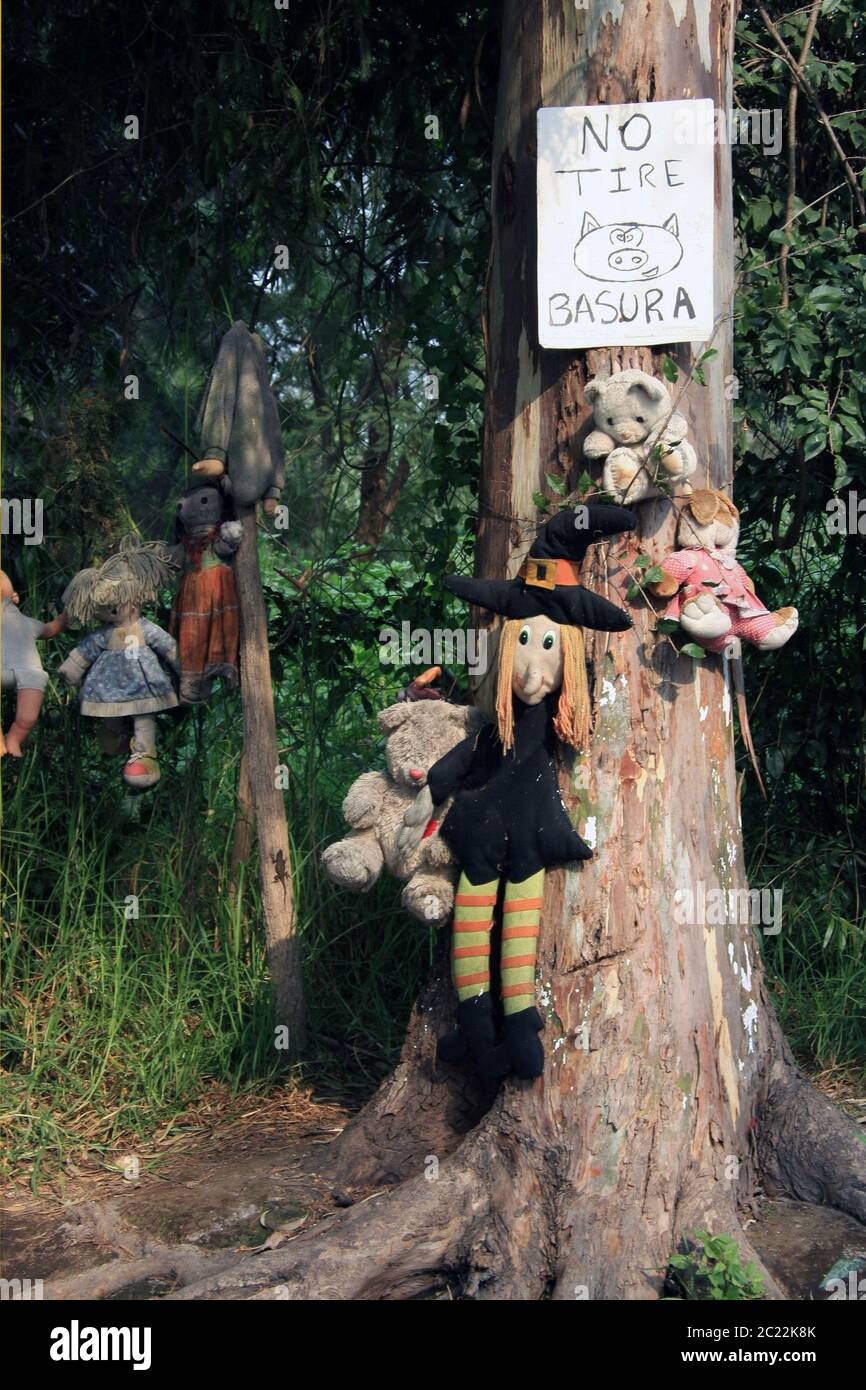 The island of the dolls (La Isla de las Muñecas) little islands in Lake ...