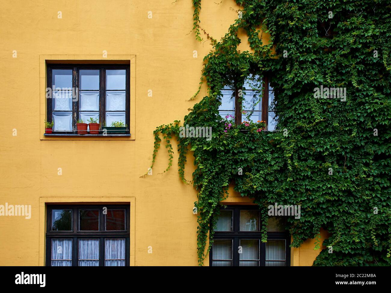 window decorated with plants Stock Photo - Alamy