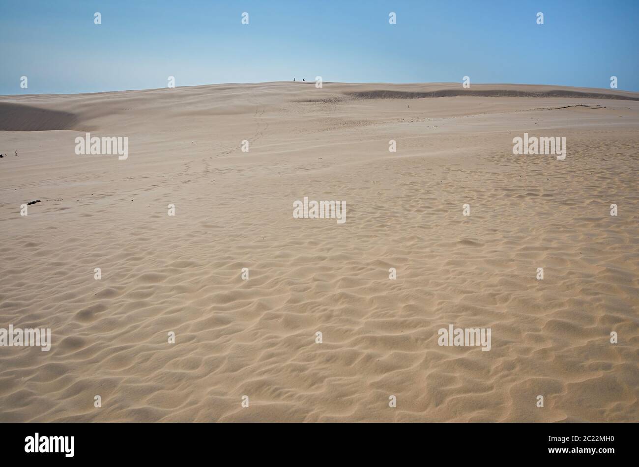 Dune scenery hi-res stock photography and images - Alamy