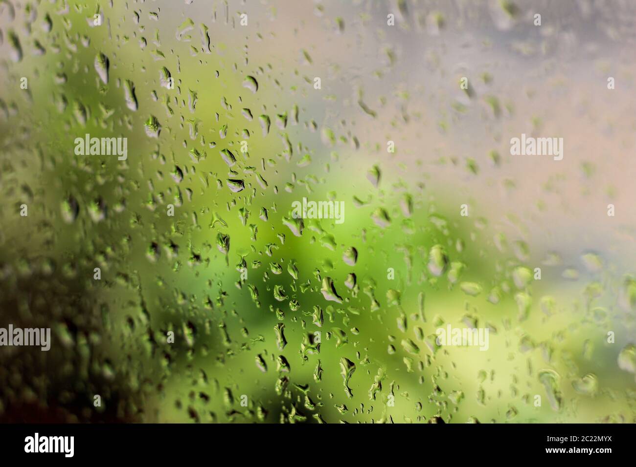 Rain drops on window screen with greenery outside Stock Photo - Alamy