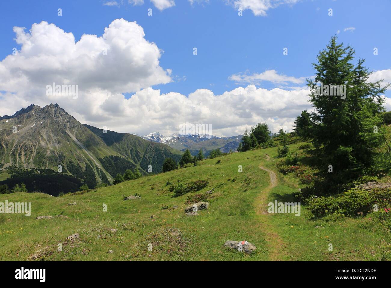 Hiking trail in the Alps Stock Photo - Alamy