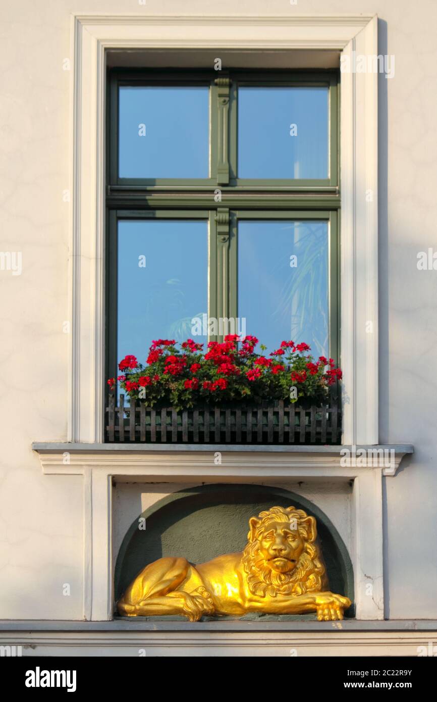 Goldlowe hi-res stock photography and images - Alamy