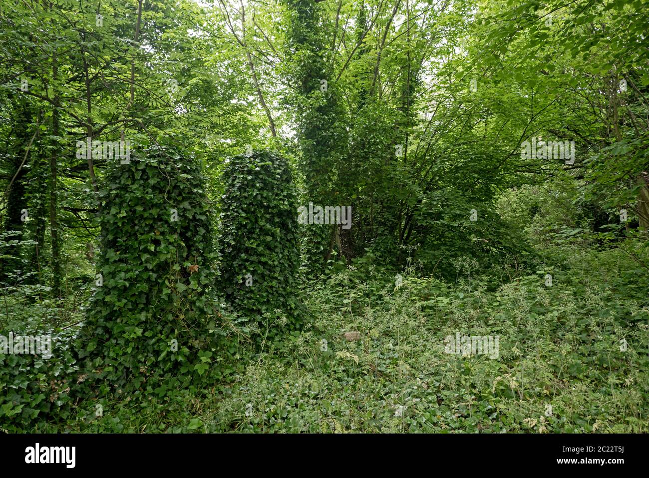 Cemetery Abandoned Uk High Resolution Stock Photography and Images - Alamy