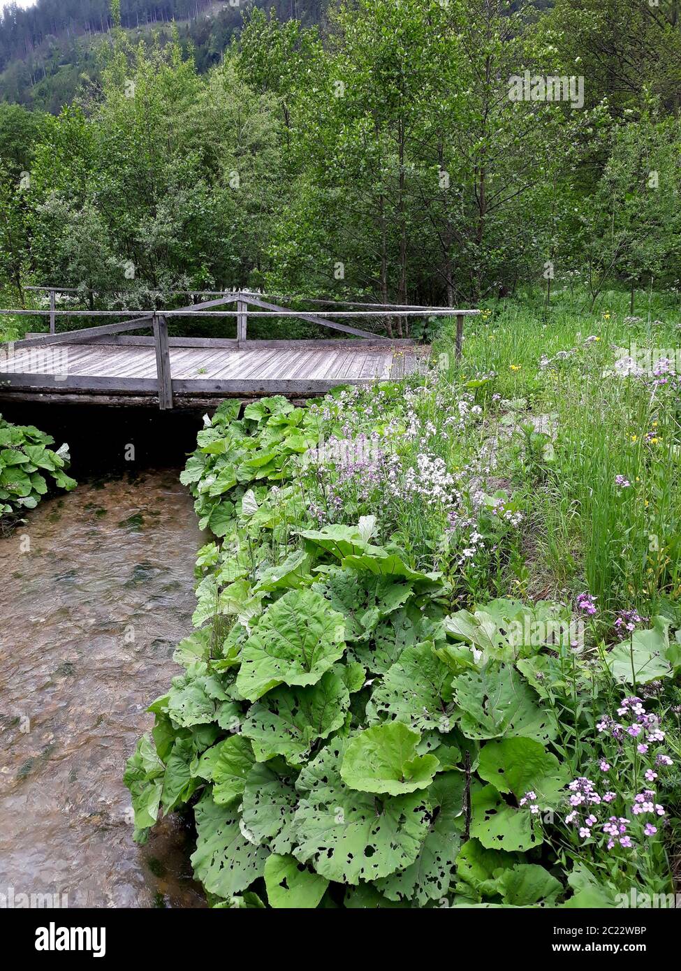 Laming hi-res stock photography and images - Alamy