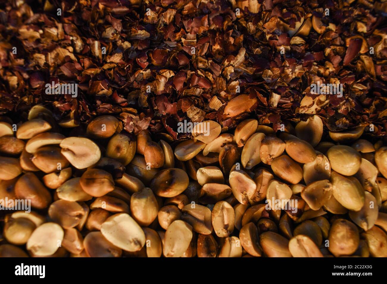 Traditional peeling process of roasted peanuts, high contrasting flat ...