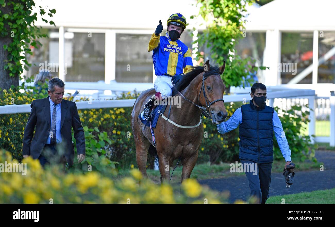 Highclere horse hi-res stock photography and images - Alamy