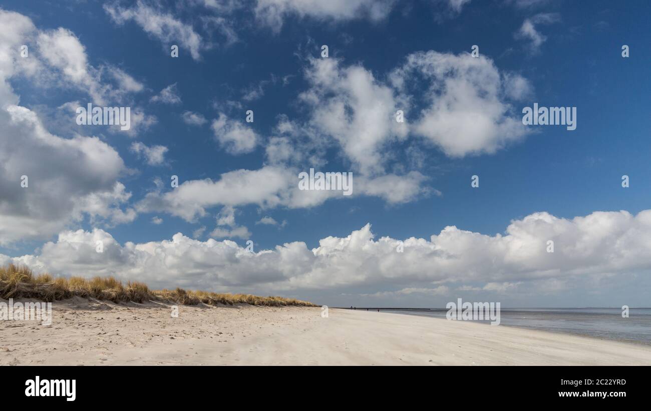 Wadden see national park hi-res stock photography and images - Alamy