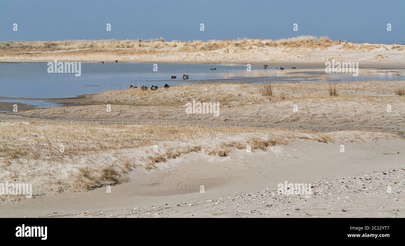 Wadden sea of the north sea hi-res stock photography and images - Alamy