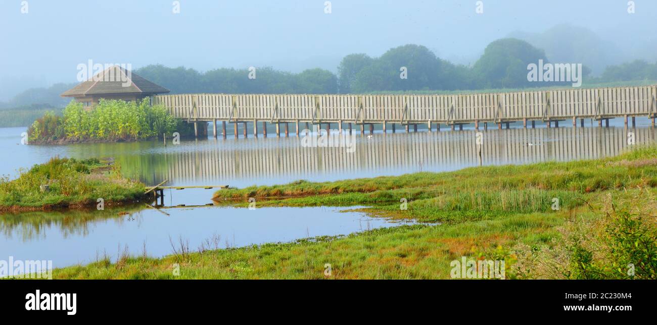 Island hide with long footpath in Seaton Wetlands Nature Reserve, Devon ...