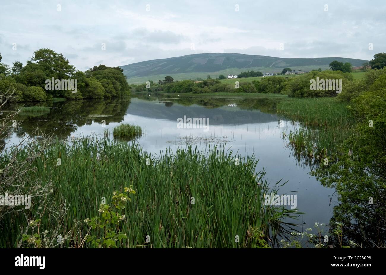 Pentlands hi-res stock photography and images - Alamy