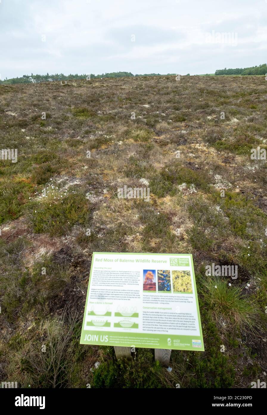 Red moss of balerno hi-res stock photography and images - Alamy