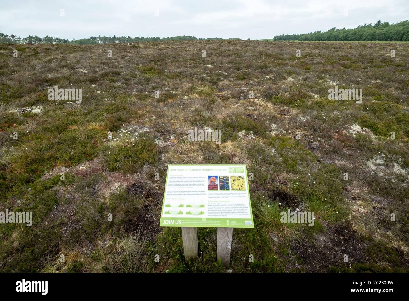The Red Moss of Balerno nature reserve in the Pentland Hills Regional ...