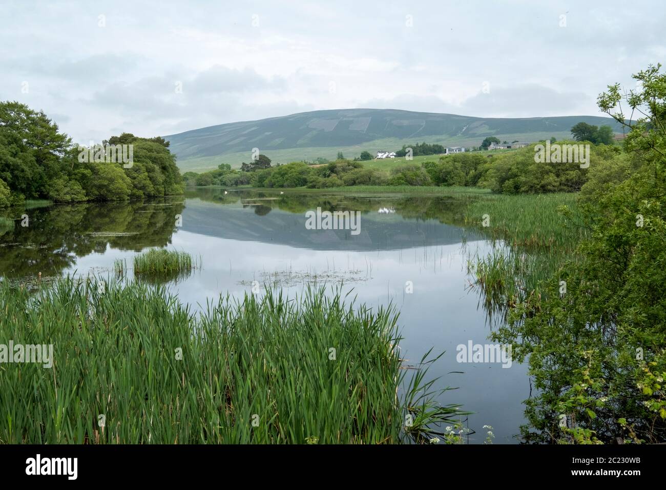 Threipmuir reservoir in the pentlands hi-res stock photography and ...