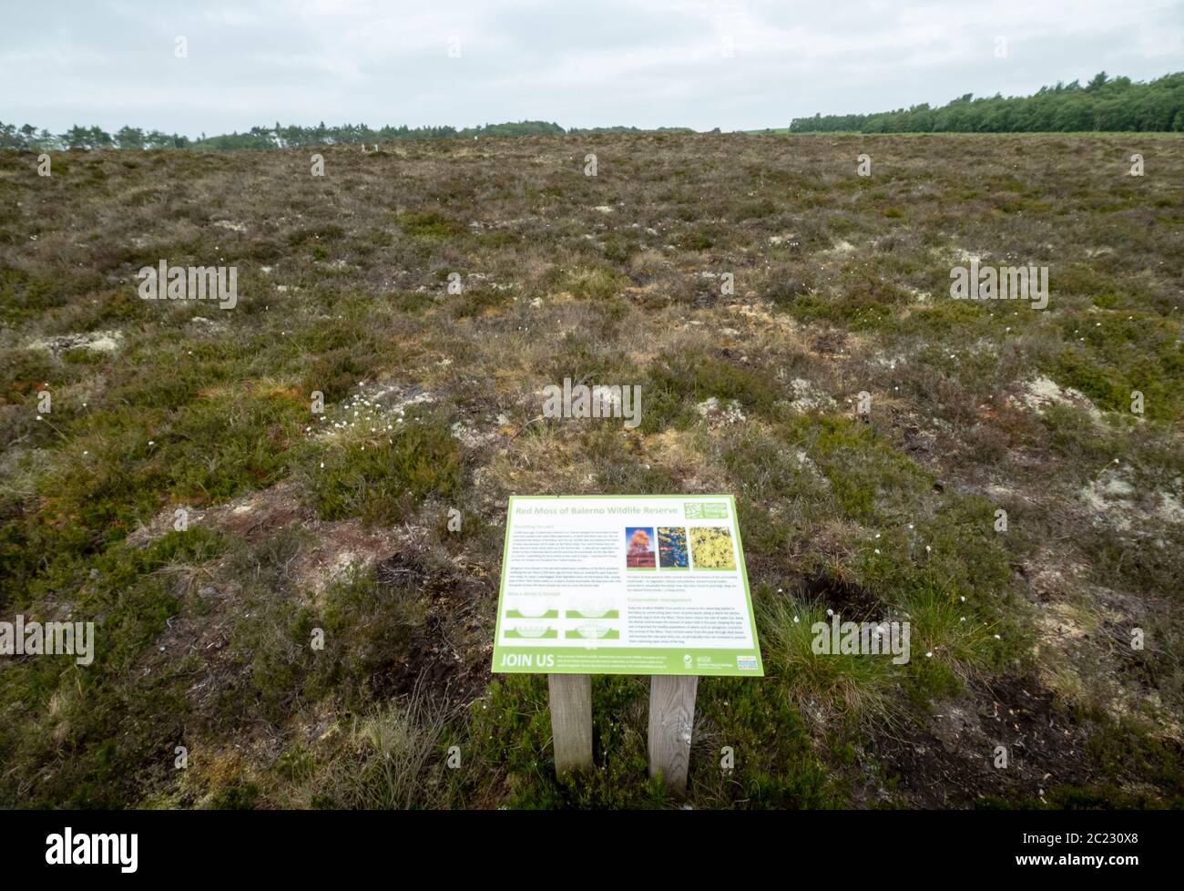 The Red Moss of Balerno nature reserve in the Pentland Hills Regional ...
