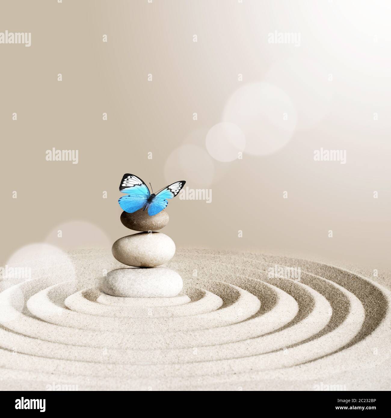 Japanese zen garden meditation stone concentration and relaxation sand ...