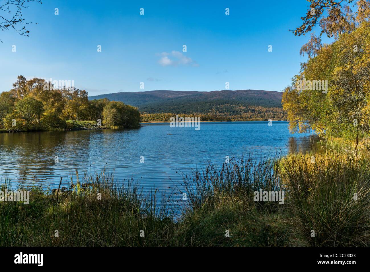 Deeside water hi-res stock photography and images - Alamy