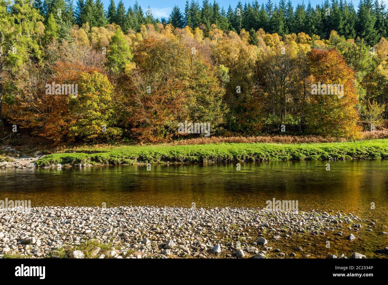 River Dee just below potarch Bridge in autumn Stock Photo - Alamy
