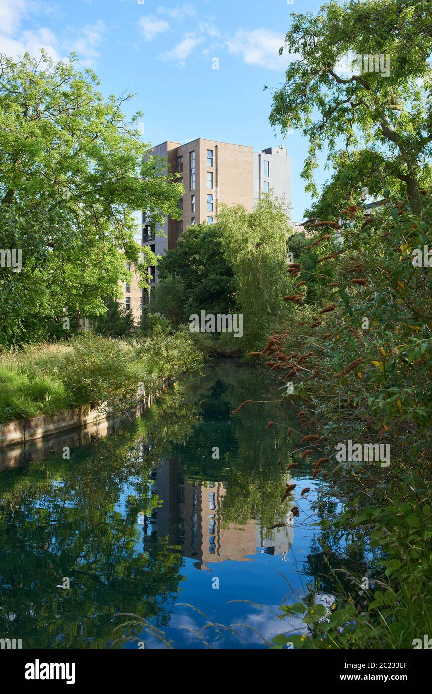 The New River in summer at Woodberry Down in the London Borough of ...