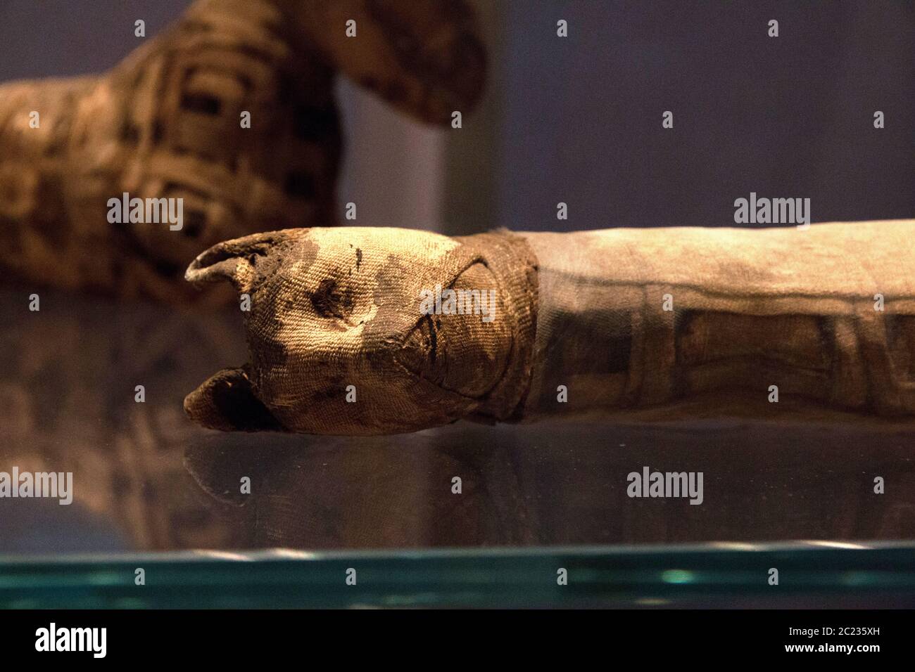 Ancient egyptian cat cemetery hi-res stock photography and images - Alamy