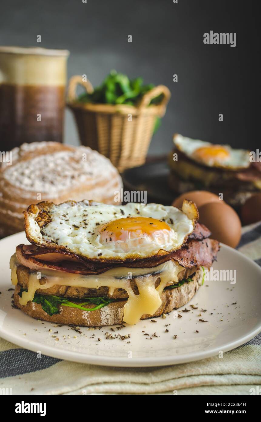 Croque madame delicious french breakfast with ham, cheese, egg and ...