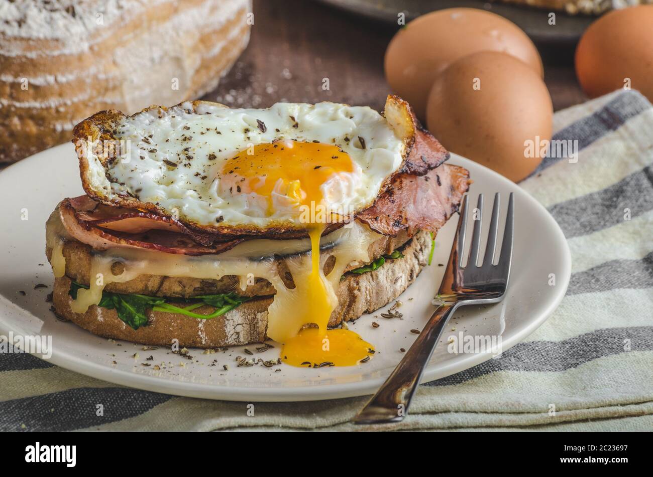 Croque madame delicious french breakfast with ham, cheese, egg and ...