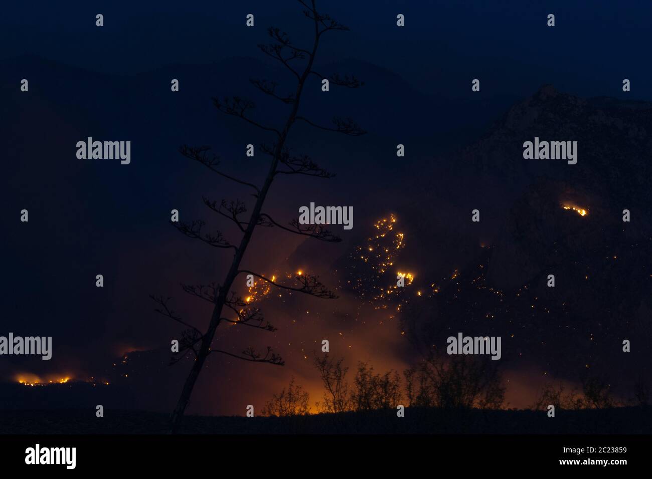 Santa catalina mountains hi-res stock photography and images - Alamy