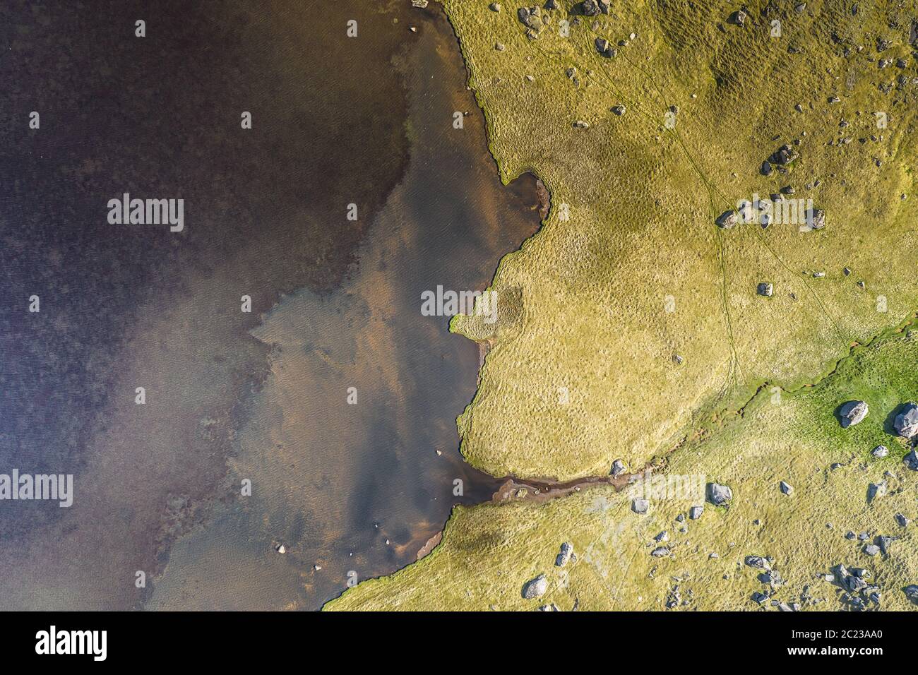 aerial view of pond and green nature Stock Photo - Alamy