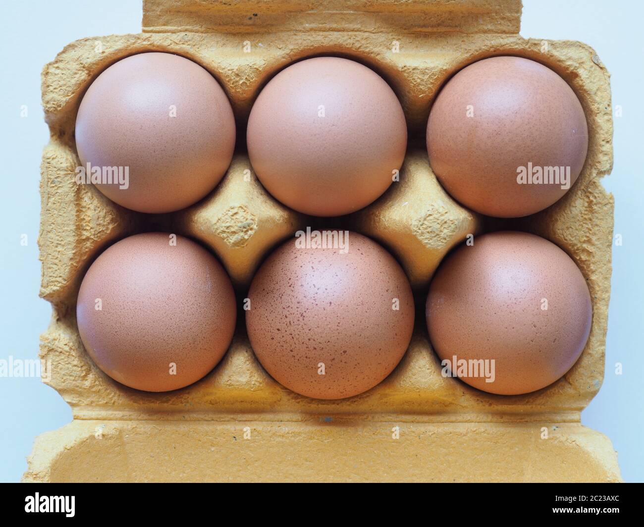 eggs in an egg box aka egg carton Stock Photo - Alamy