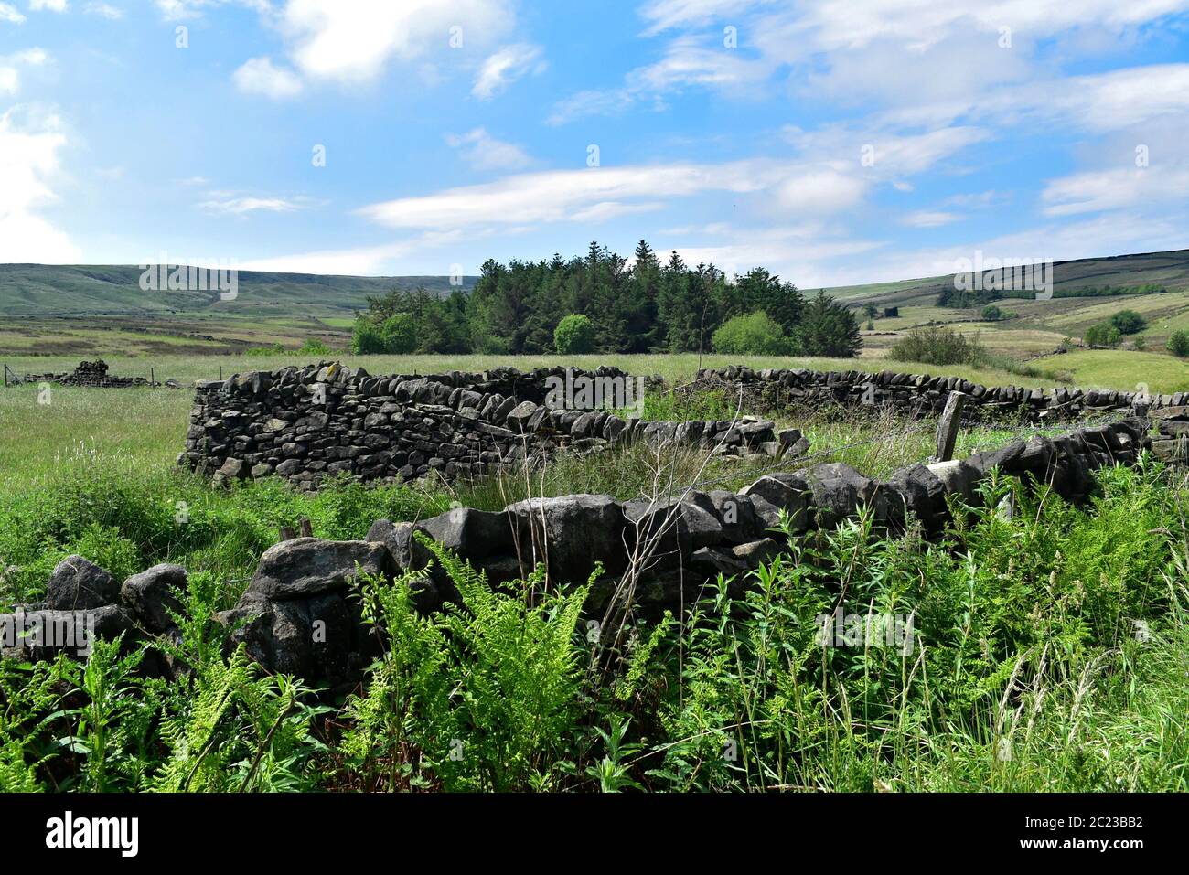 Pinfold hi-res stock photography and images - Alamy