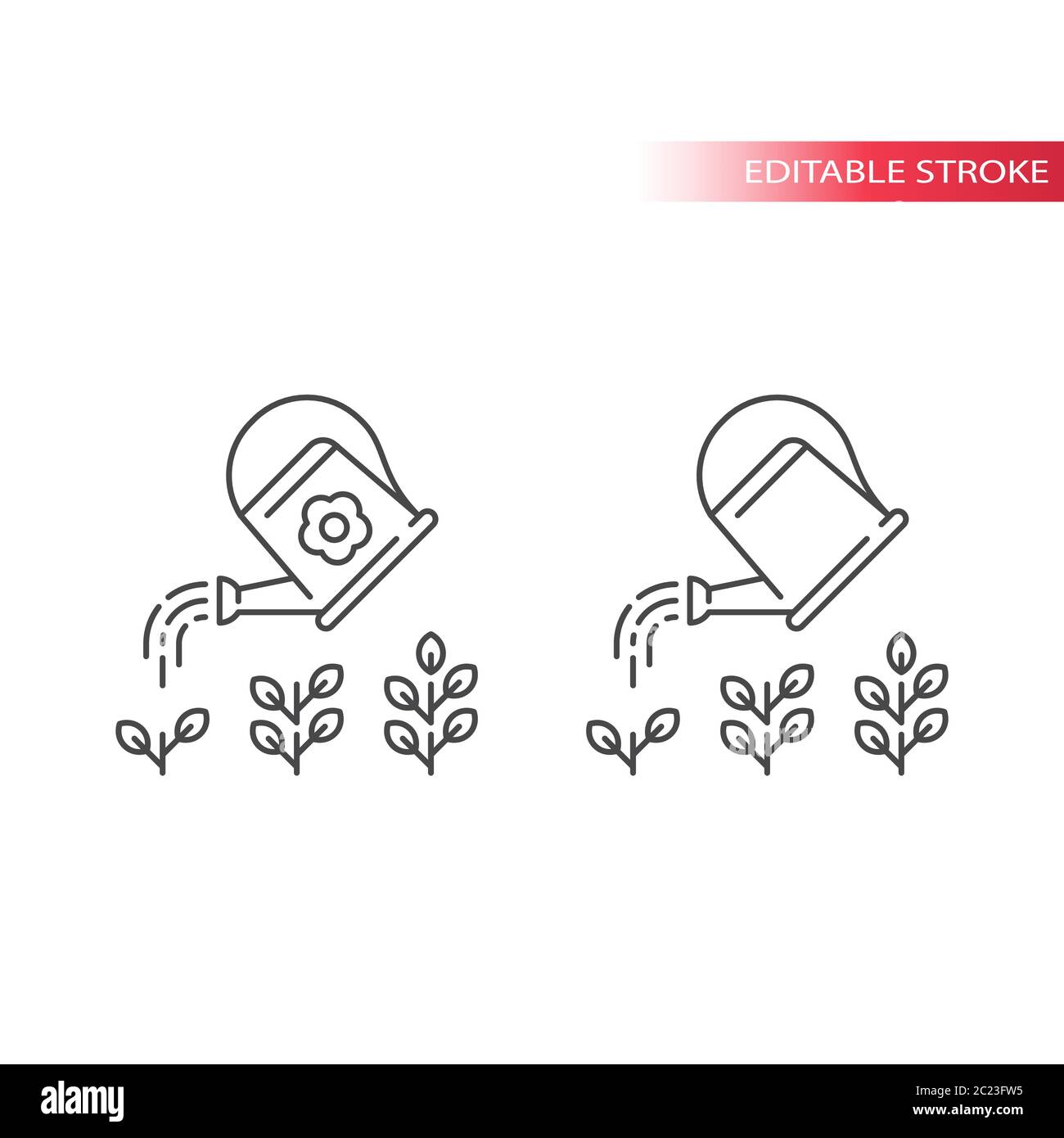 Watering can with plant, growth stages concept, business development ...