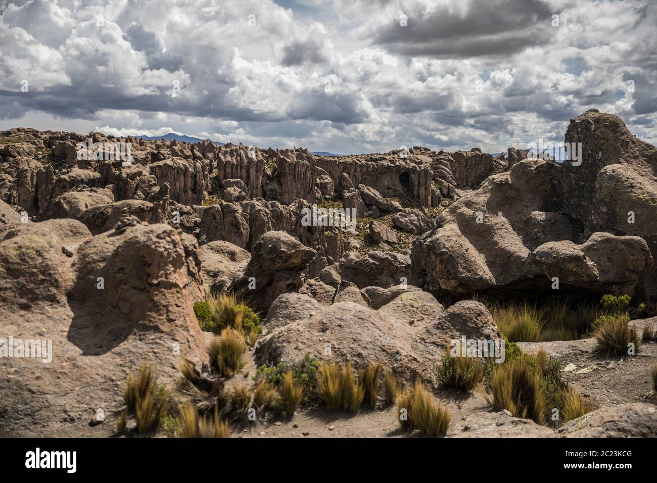 Desert shrubbery hi-res stock photography and images - Alamy