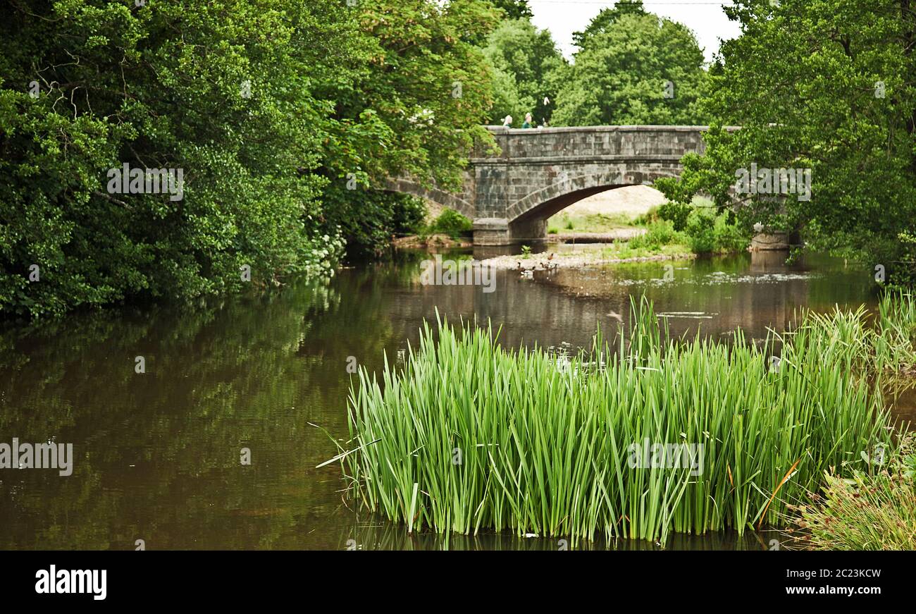 Bridge over the River Culm at Uffculme in Devon Stock Photo - Alamy