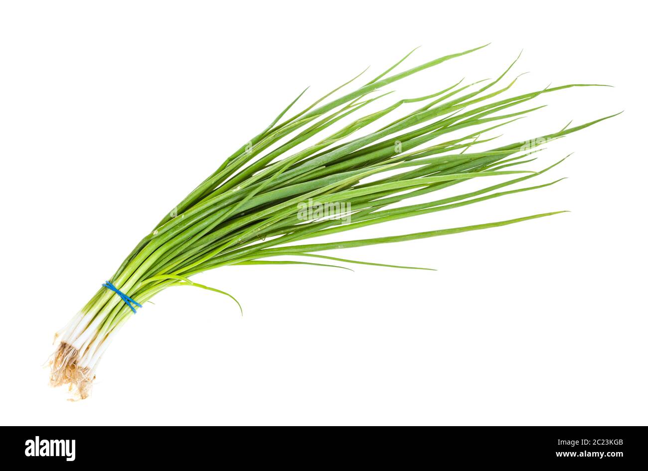 bunch of scallions (green onions) isolated on white background Stock ...