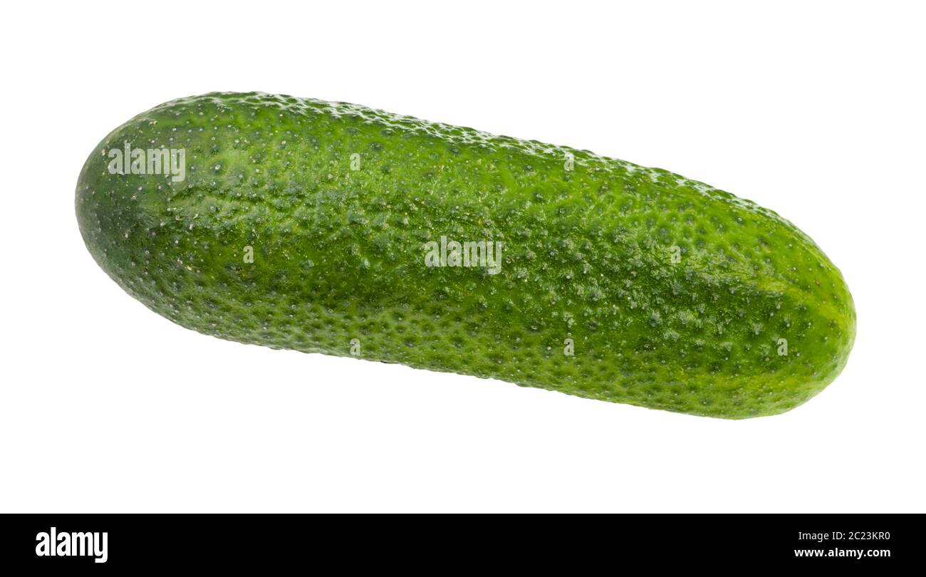 fresh green cucumber isolated on white background Stock Photo - Alamy