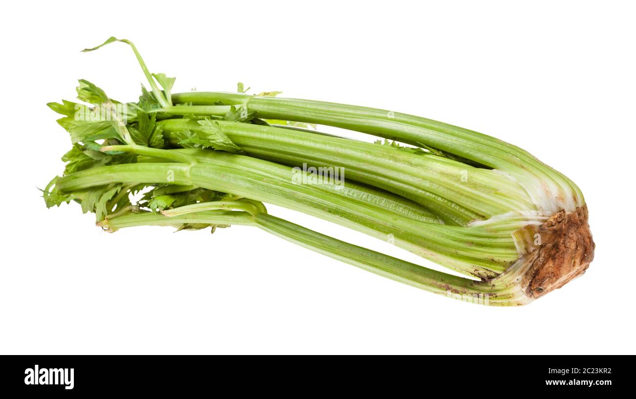 natural celery stalk isolated on white background Stock Photo - Alamy