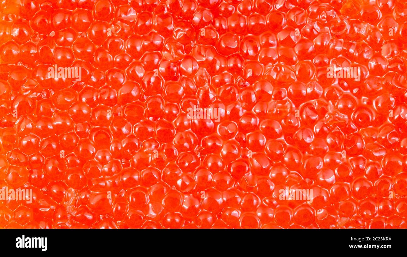 food background - panoramic view of surface of salted russian red ...