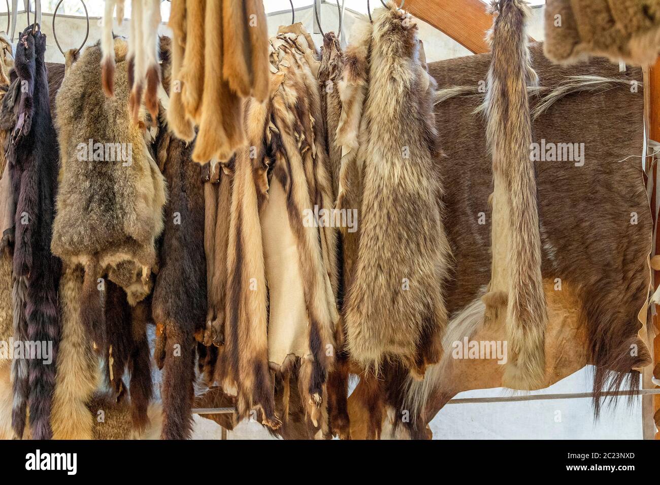 various hanging fur pieces seen at a medieval market Stock Photo - Alamy
