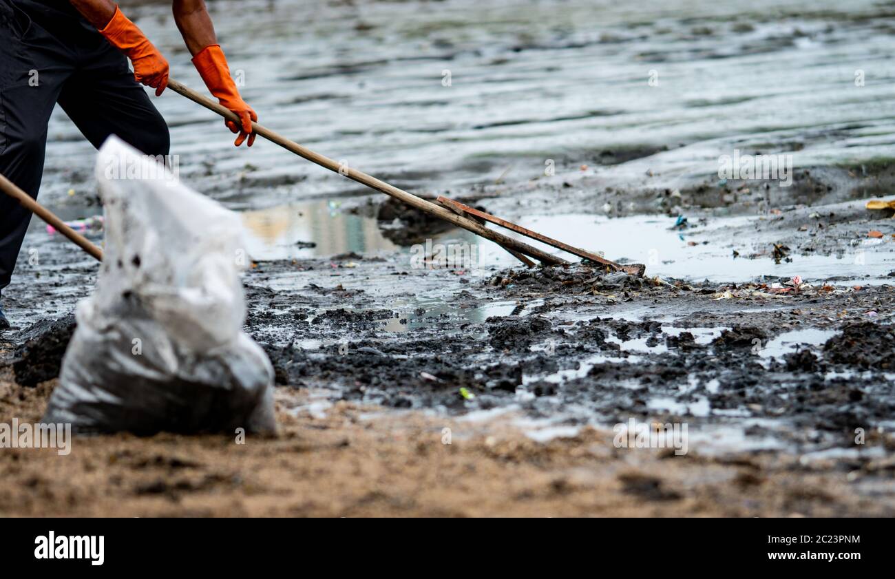Volunteers use the rake to sweep the trash out of the sea. ฺBeach ...