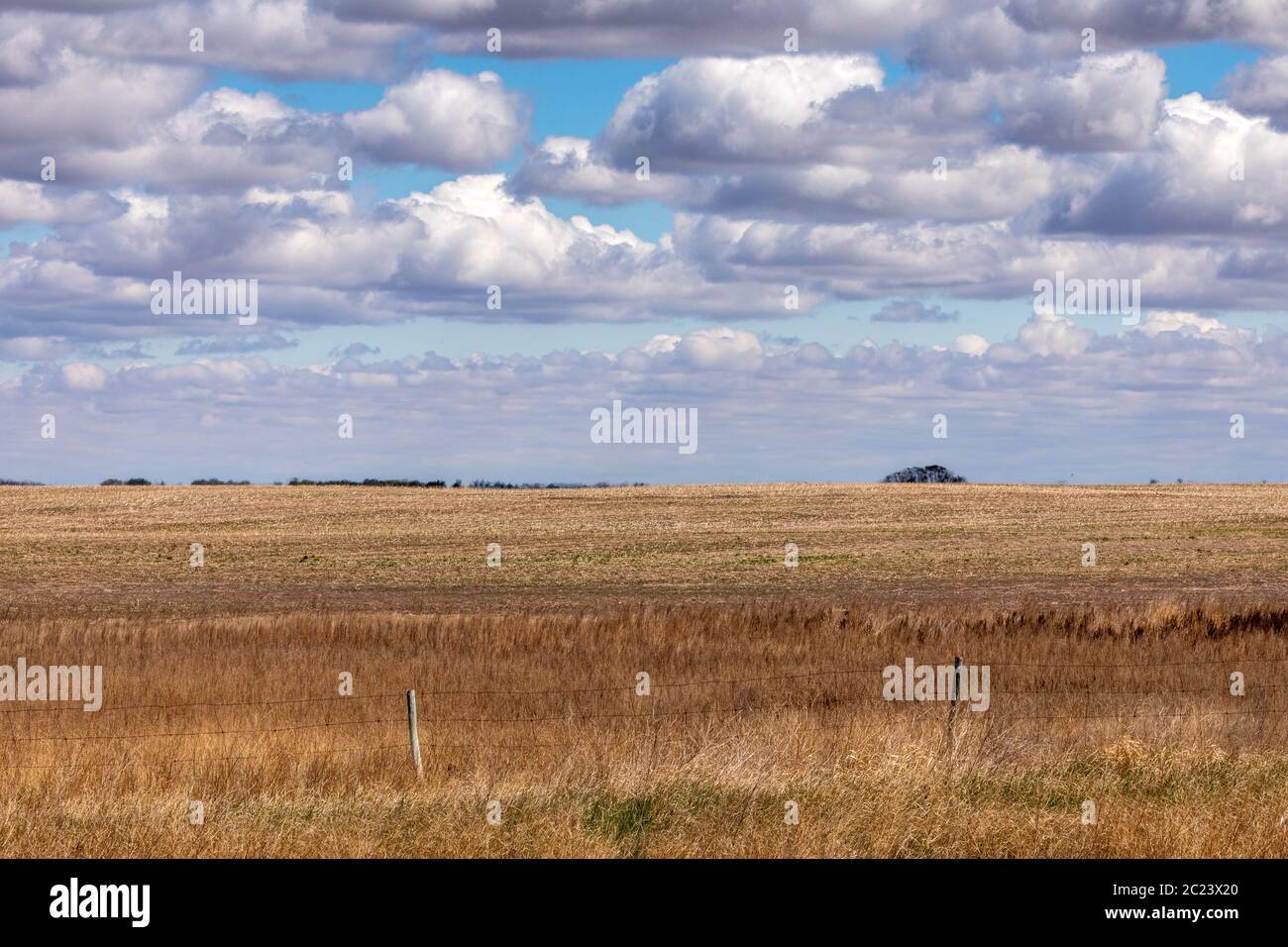 Summer in the Prairie of Canada Stock Photo - Alamy