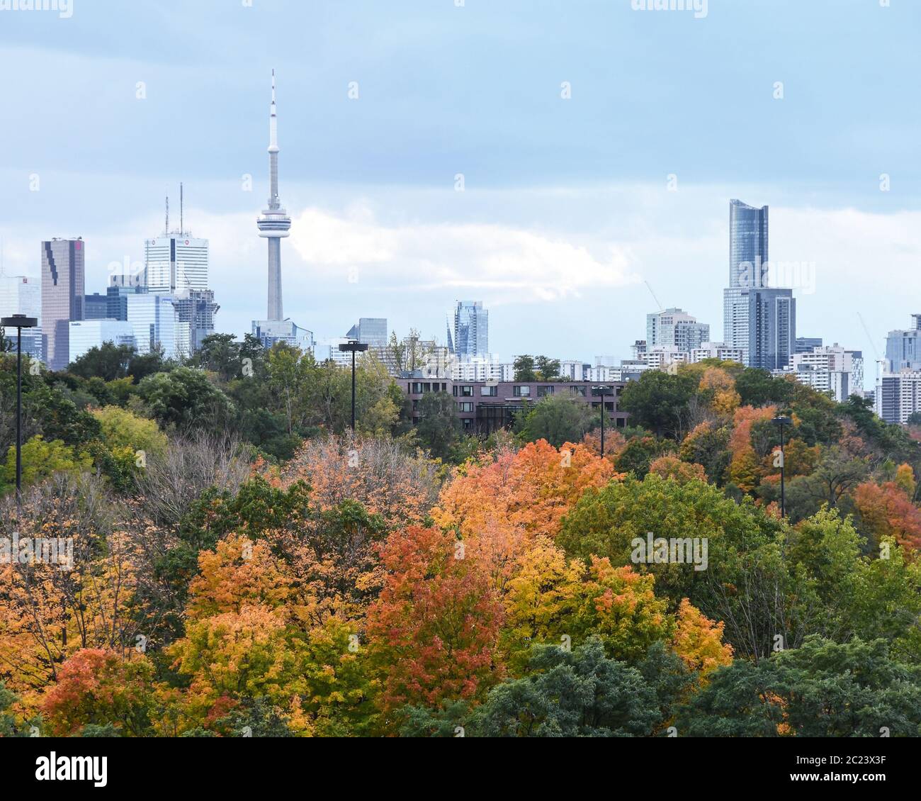 Toronto in Fall Stock Photo - Alamy