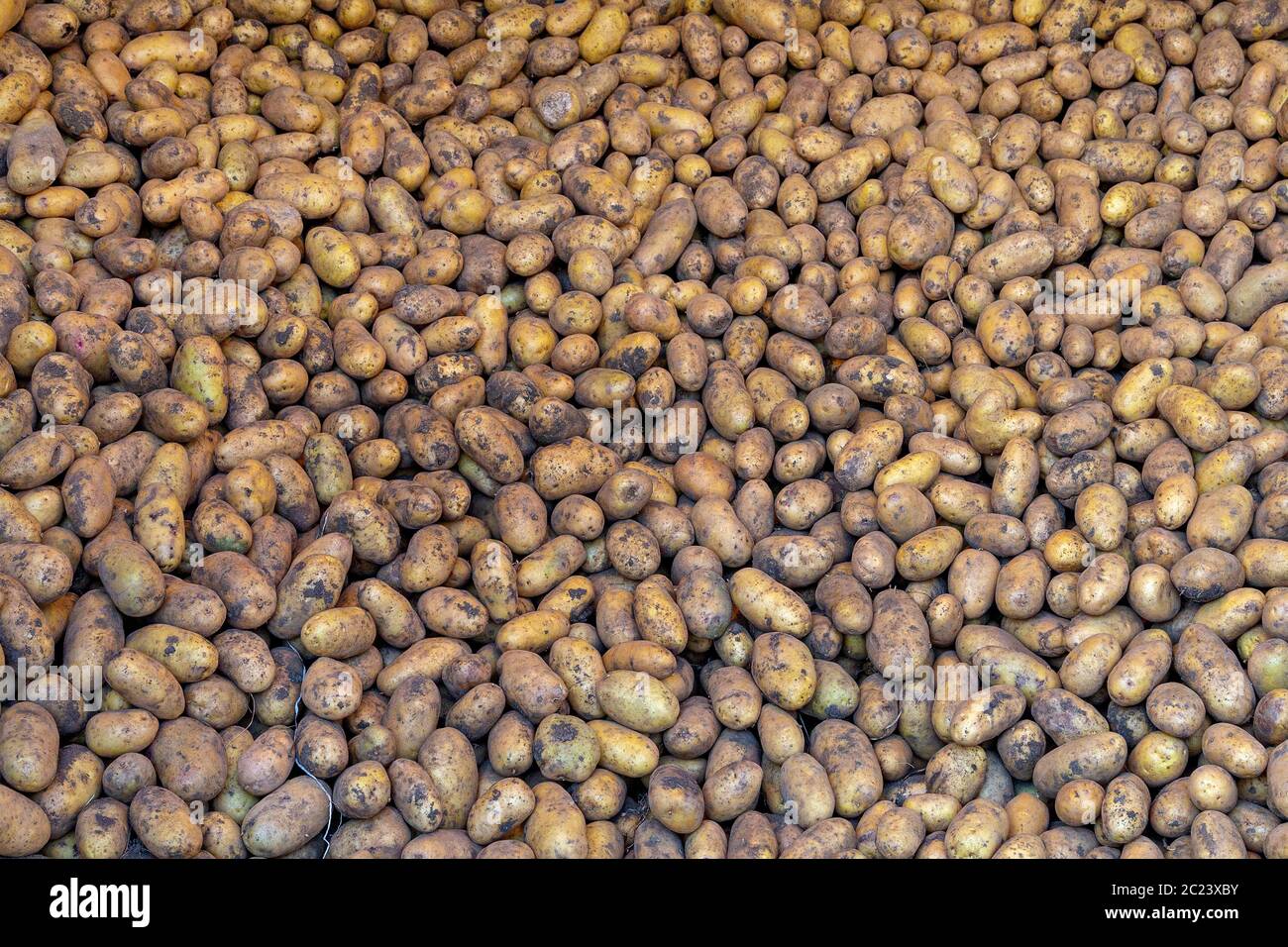 Potatoes texture hi-res stock photography and images - Alamy